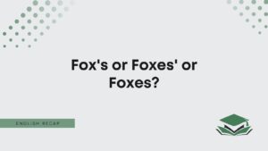 Fox's or Foxes' or Foxes? - English Recap